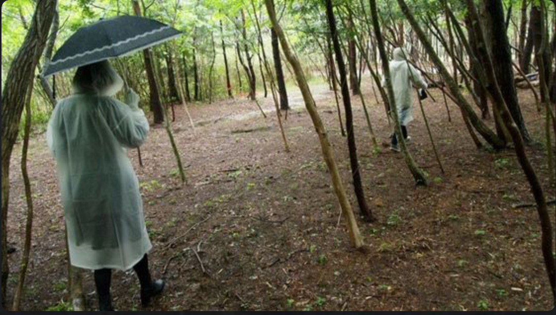 Fukushima Radiography (2017) | Floy Krouchi